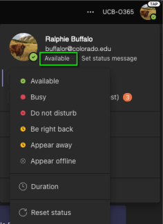 Microsoft Teams - Change your status in Teams | Data & Analytics